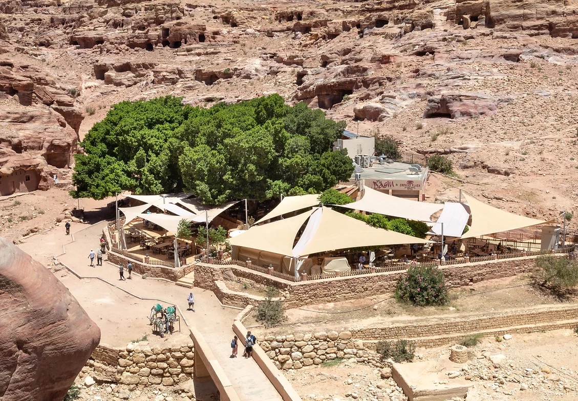 Where to Eat in Petra, Jordan? | Bein Harim Tours