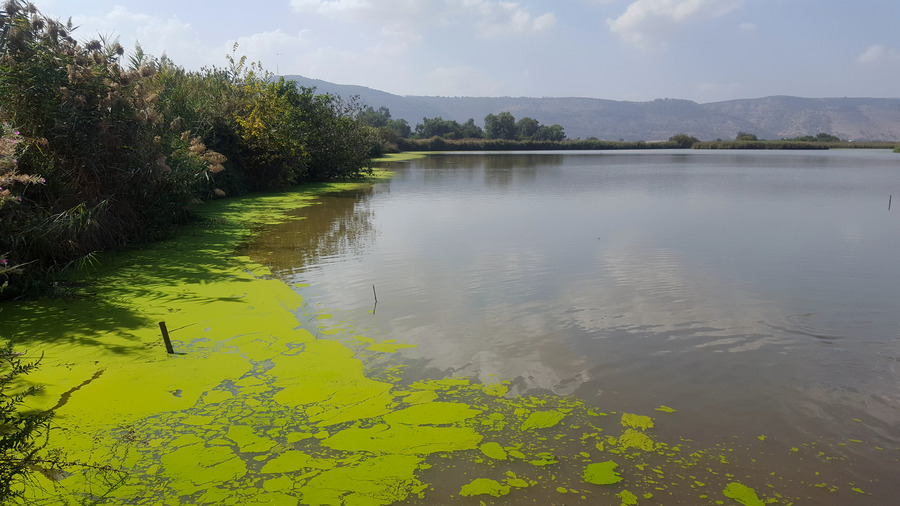 Hula Valley | Bein Harim Tours