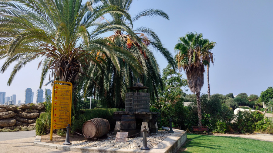 Eretz Israel Museum, Tel Aviv | Bein Harim Tours